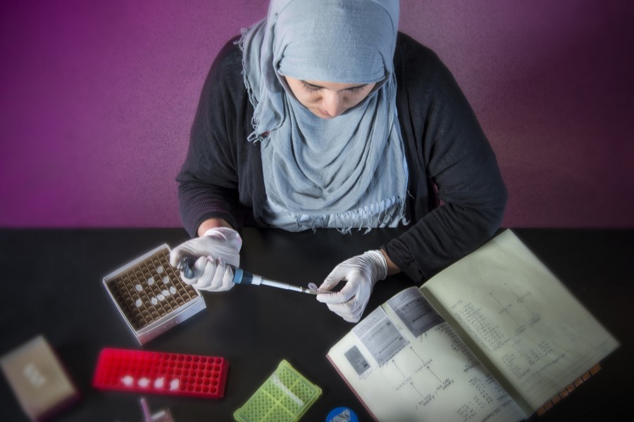 Research Highlights | Research at the University of Nebraska–Lincoln