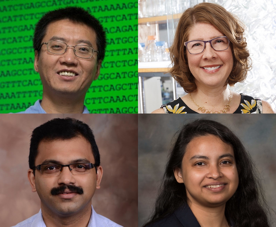 UNL | Looking back: Fall 2019 in photos | Office of Research & Economic ...