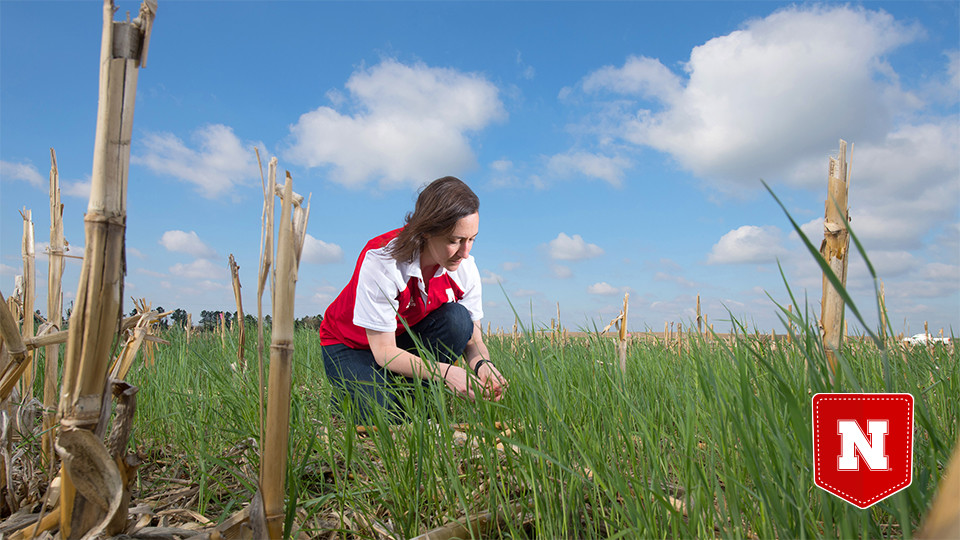 UNL | Study IDs strengths, obstacles for sustainable ag research ...