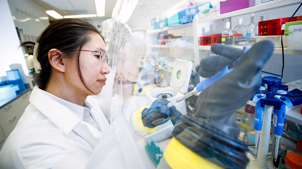 UNL | Biochemists detail protein vital to tuberculosis, antibiotic ...