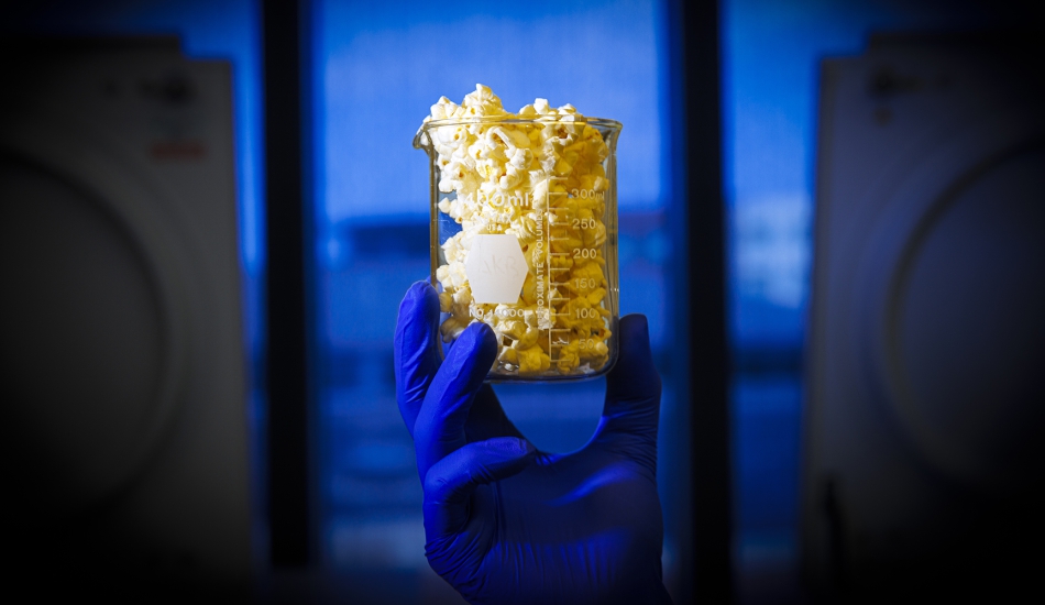 UNL | Study identifies connections among popcorn, microbiome, human ...